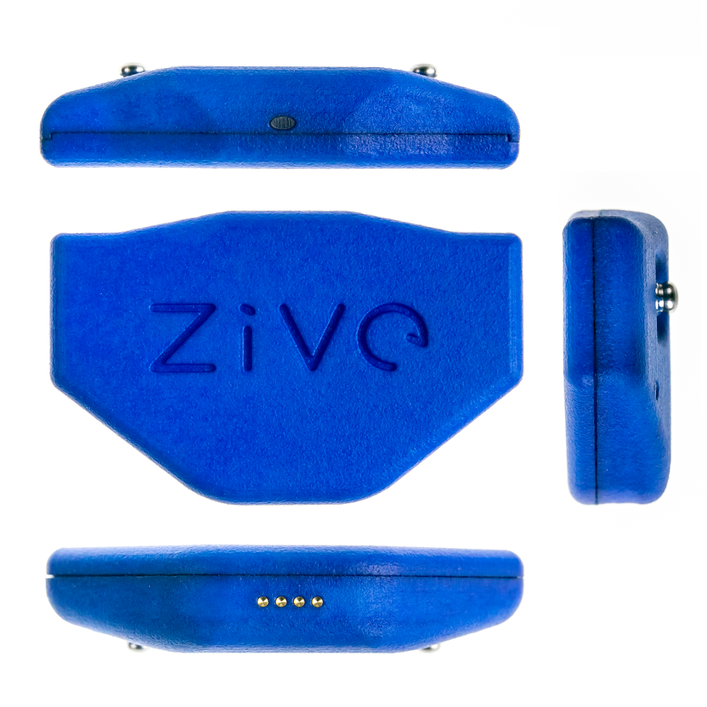 ZIVE ECG holterio monitorius namams